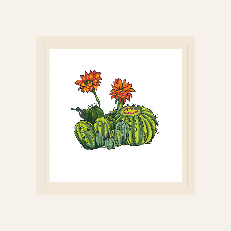 Le Jardin Exotique | Monoïkos 1297